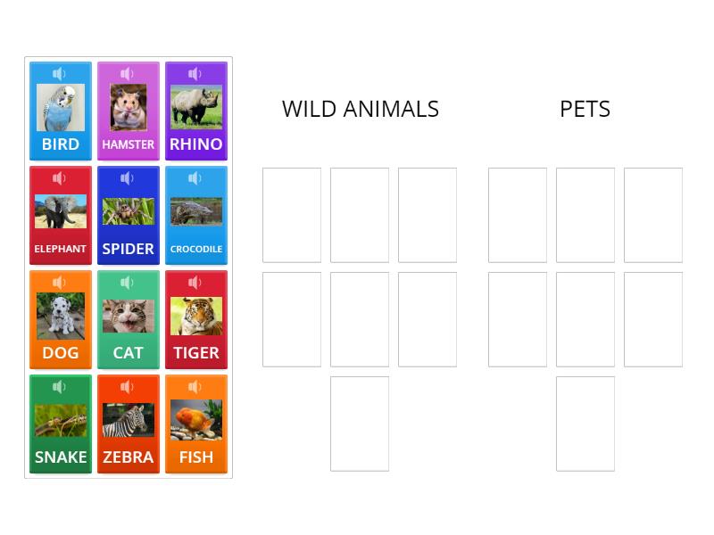 Wild Animals x Pets - Group sort