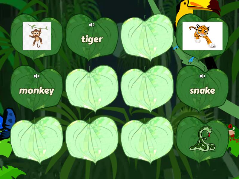 Jungle animal - Matching pairs