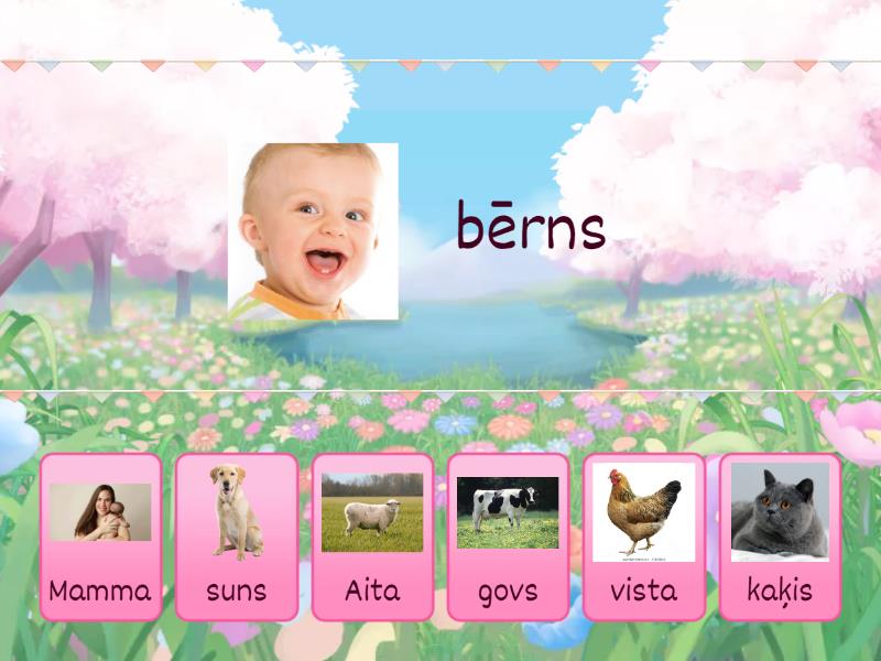 mamma - Find the match