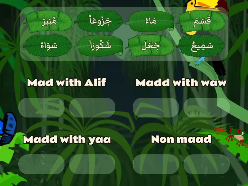 Classify the words into groups: Maad Alif, Yaa and Waaw - Ordenar por grupo