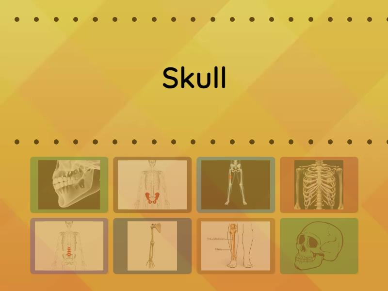 skeleton - Find the match