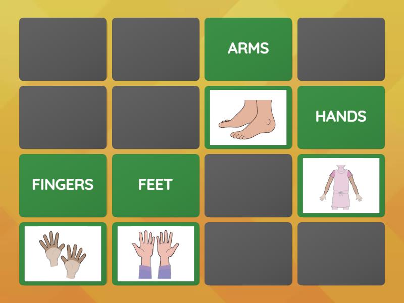 Parts of the body Memory Game - Matching pairs
