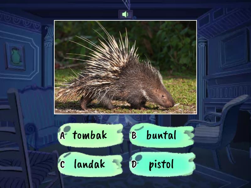 K13 Perkataan KVK KVK s2 set 6 - Quiz