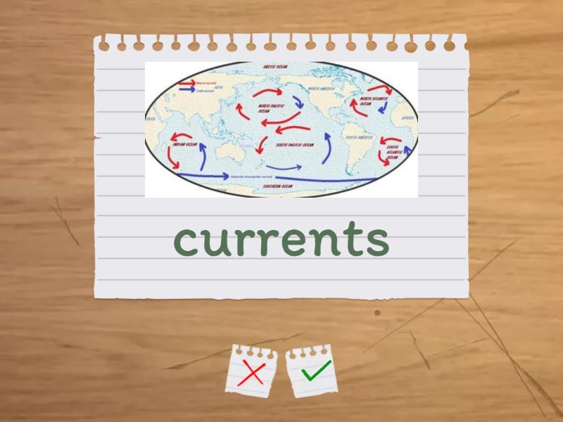 Module 9 Week 3 VOCABULARY - Flash cards