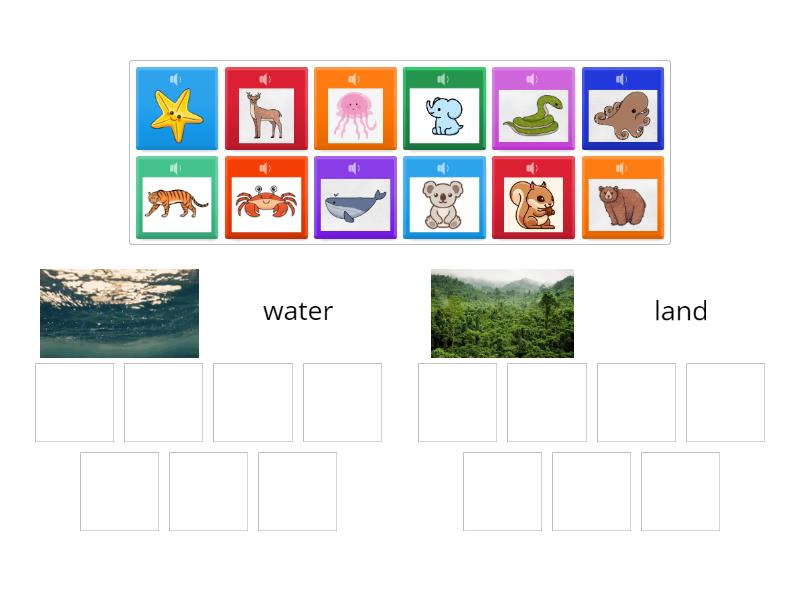 sorting animals - Group sort