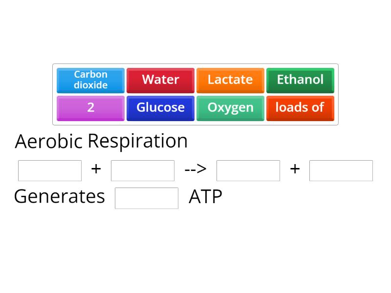 Respiration - Fill in the Blanks - Complete the sentence