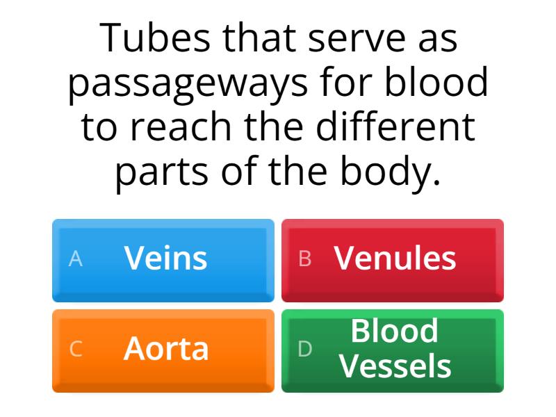 Circulatory System 1 - Quiz