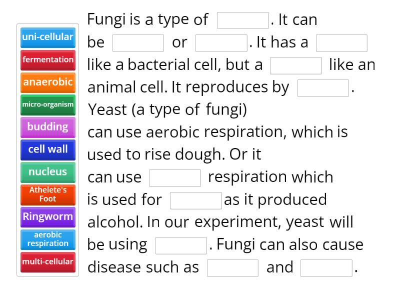 KS4 Fungi - Complete the sentence