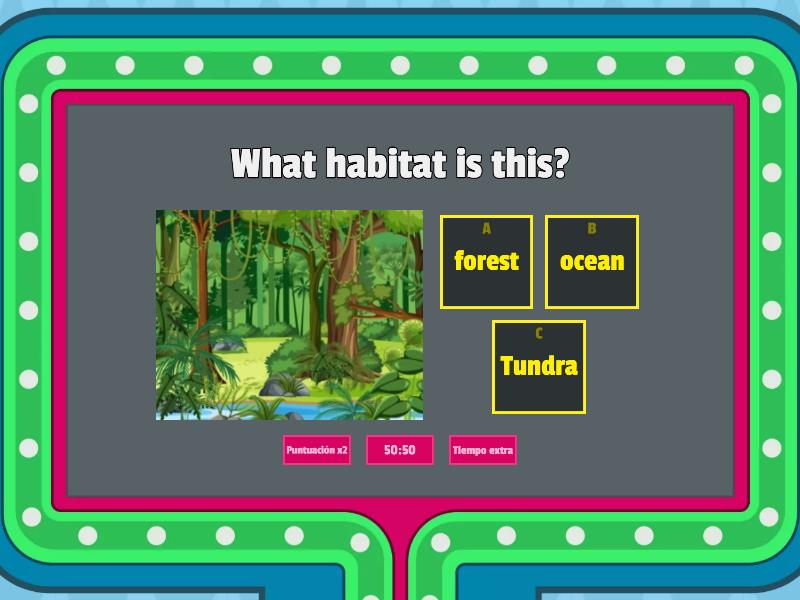 Habitat - Gameshow quiz