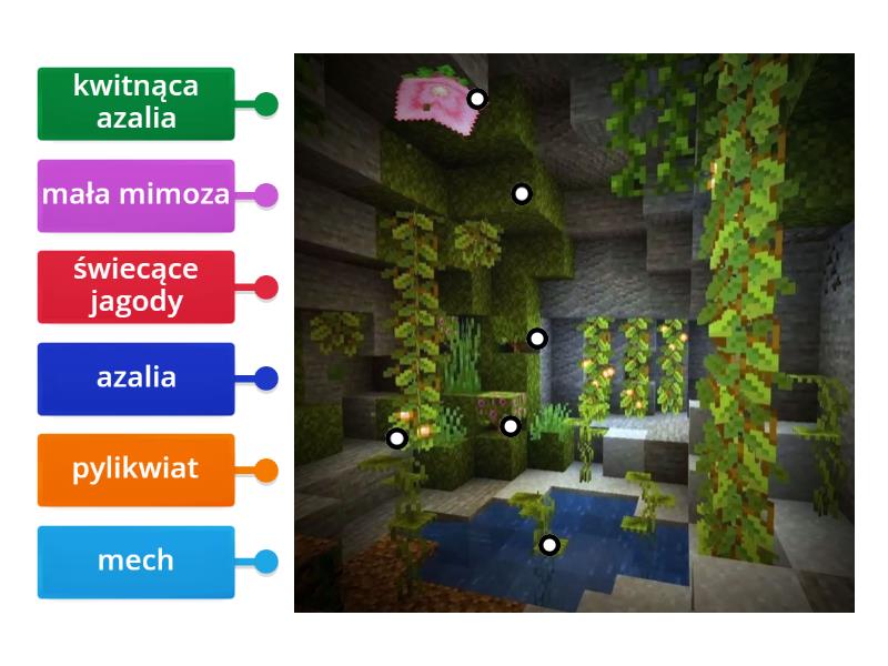 minecraft lashcave - Labelled diagram