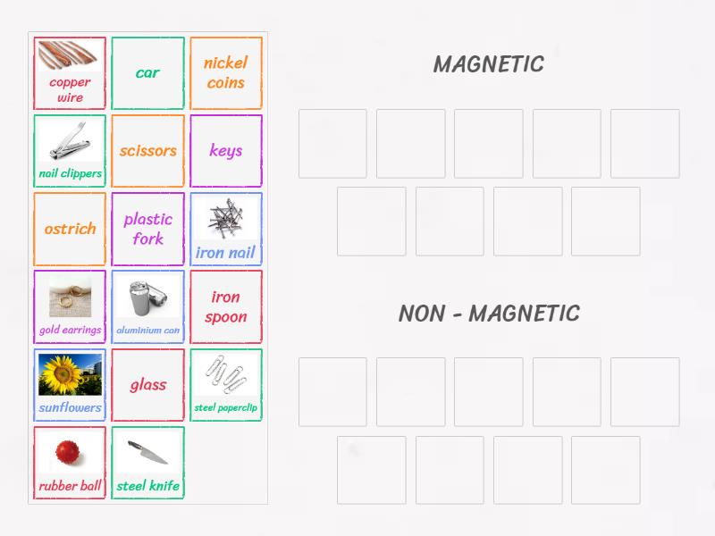 MAGNETIC AND NON-MAGNETIC THINGS - Group sort