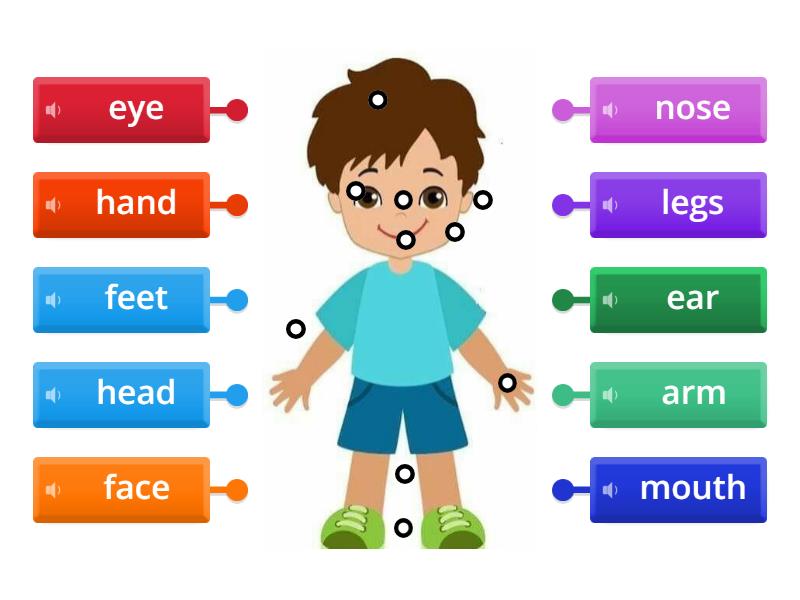 My Body - Labelled diagram
