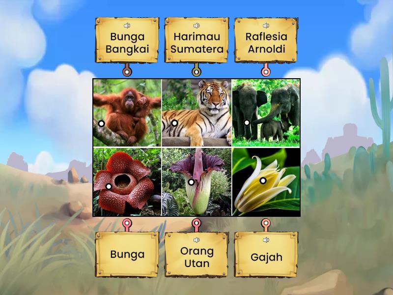 Flora dan Fauna di Indonesia - Labelled diagram
