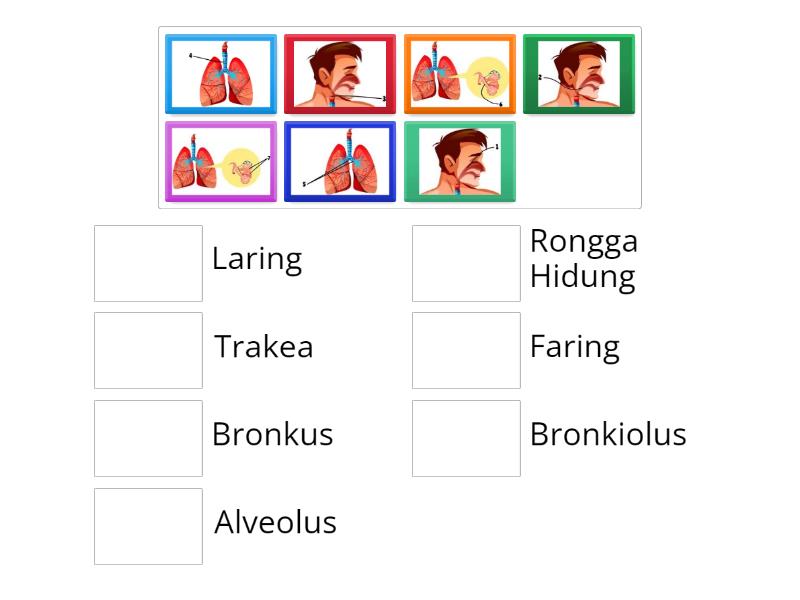 Soal Latihan - Match up