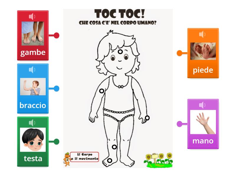 le parti del corpo - Labelled diagram