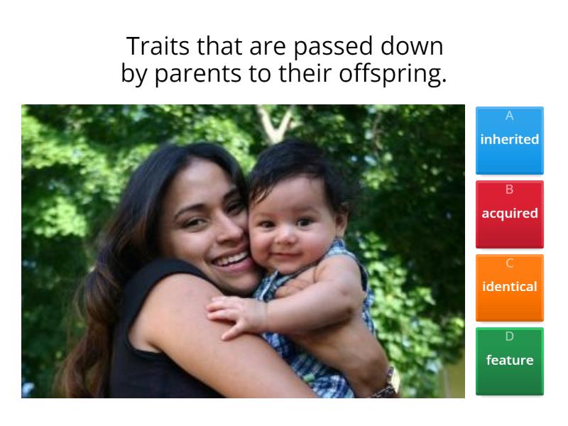 Science: About Traits - Quiz