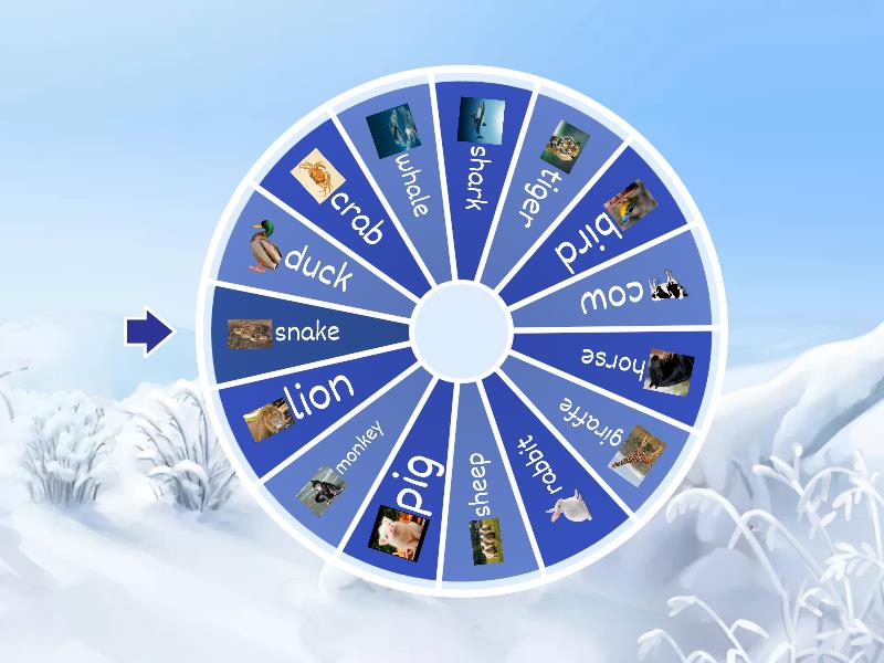 sea+ animals - Spin the wheel