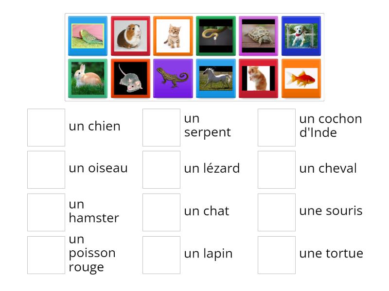 Les animaux - Match up