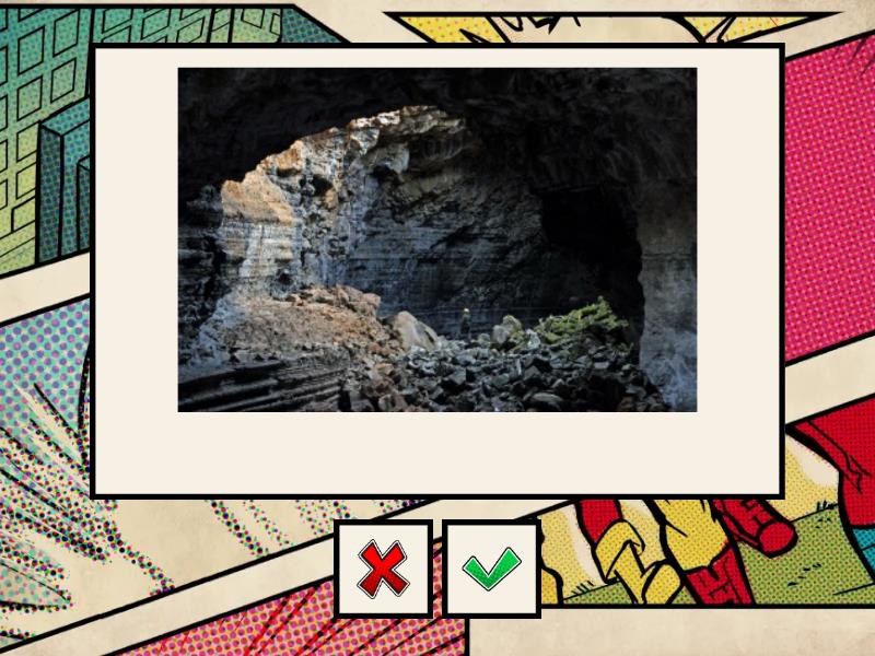 Natural world - Flash cards