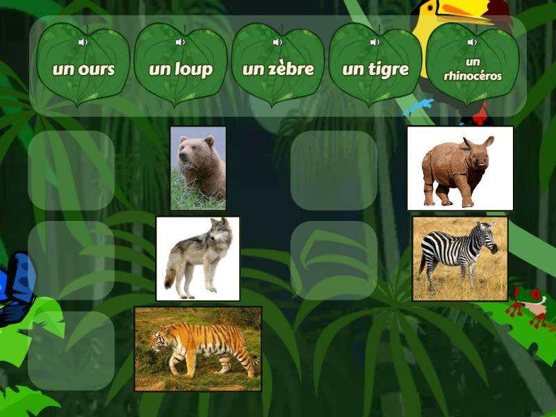 Les animaux sauvages 2 - Match up