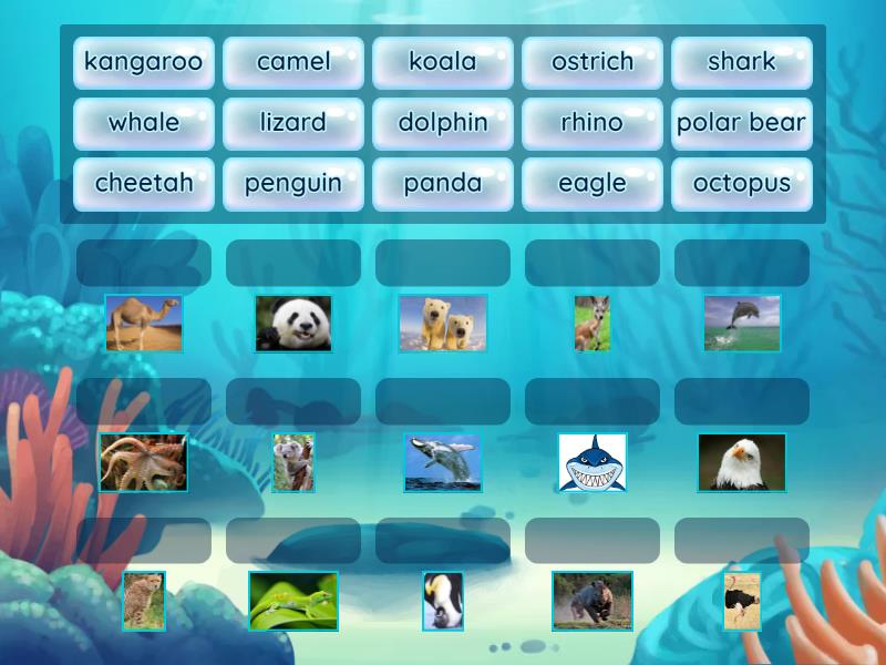 mb4 unit7 animals - Match up
