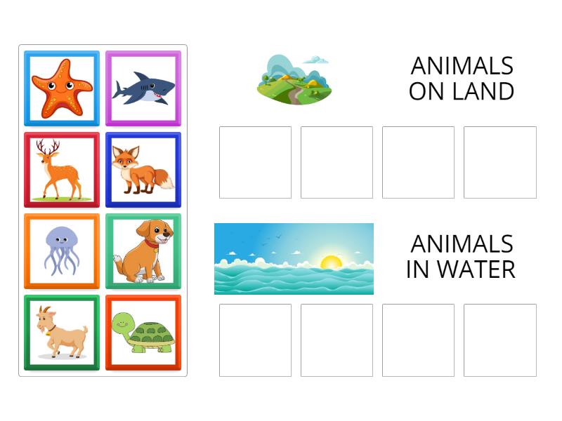 SORTING GAME - Group sort