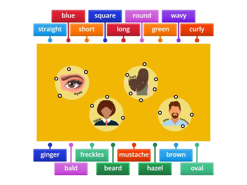 12. YT (Basic 2) - UNIT 7: Adjective Order - Labelled diagram