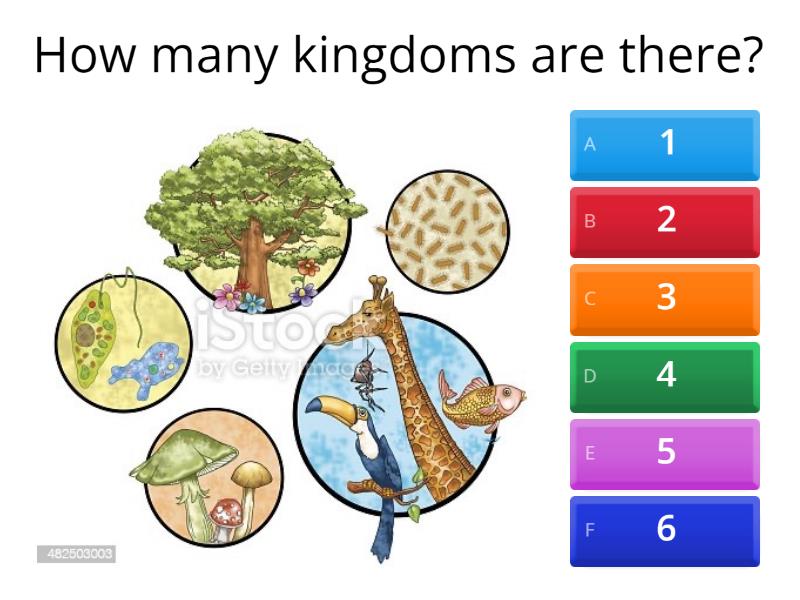 The Five Great Kingdoms - Quiz