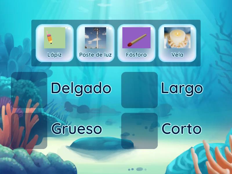 Identificar en los objetos las nociones de medida:largo,corto,grueso y ...