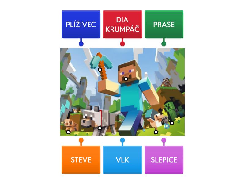 minecraft - Labelled diagram