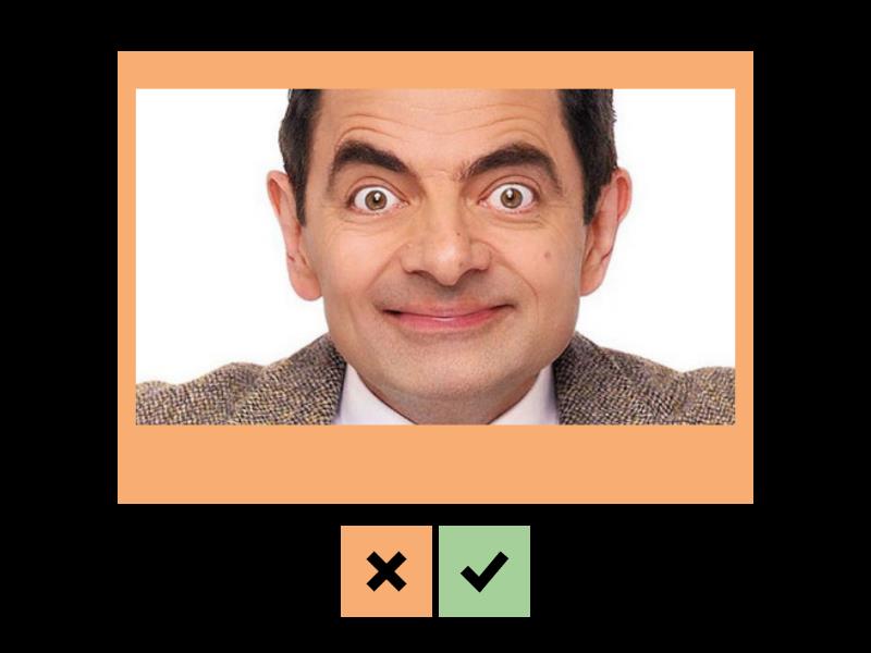 EF A2 unit 1B Describe them - Flash cards