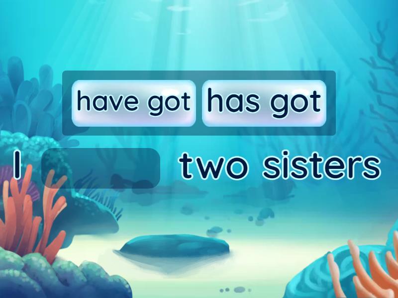 HAVE GOT - basic - Complete the sentence