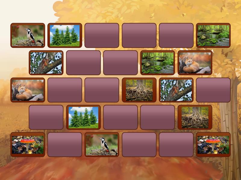 Wald Memory - Matching pairs