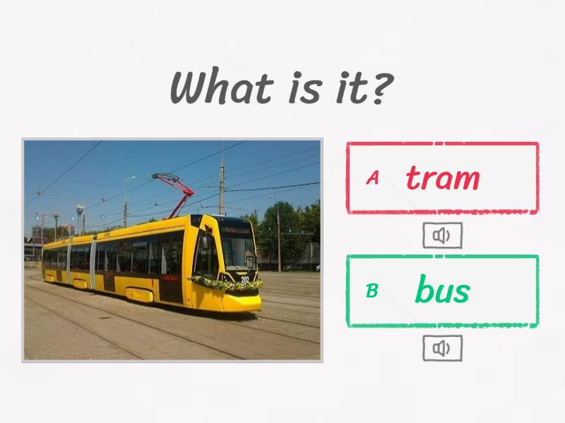 Transport - Quiz