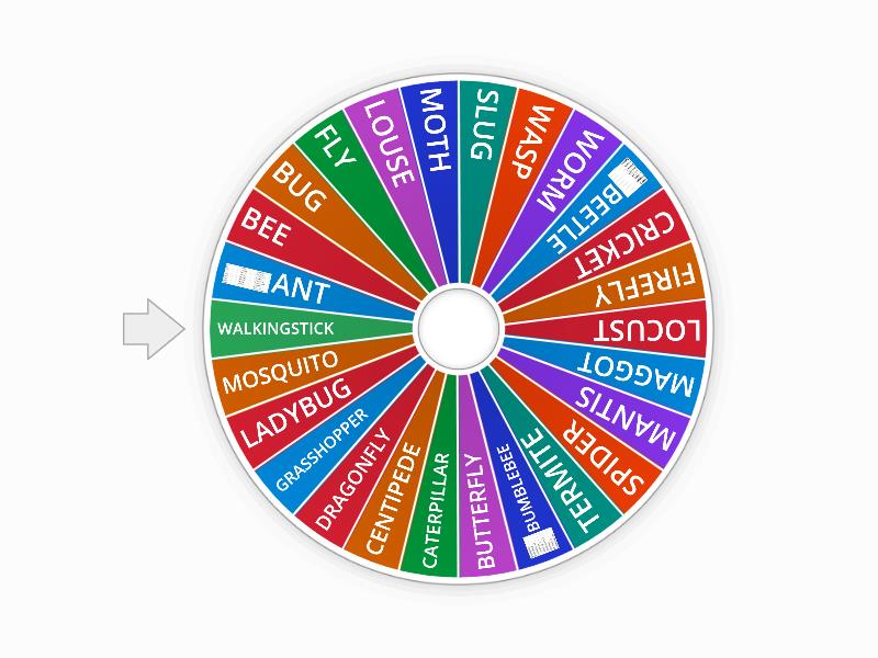 INSECTS - Spin the wheel