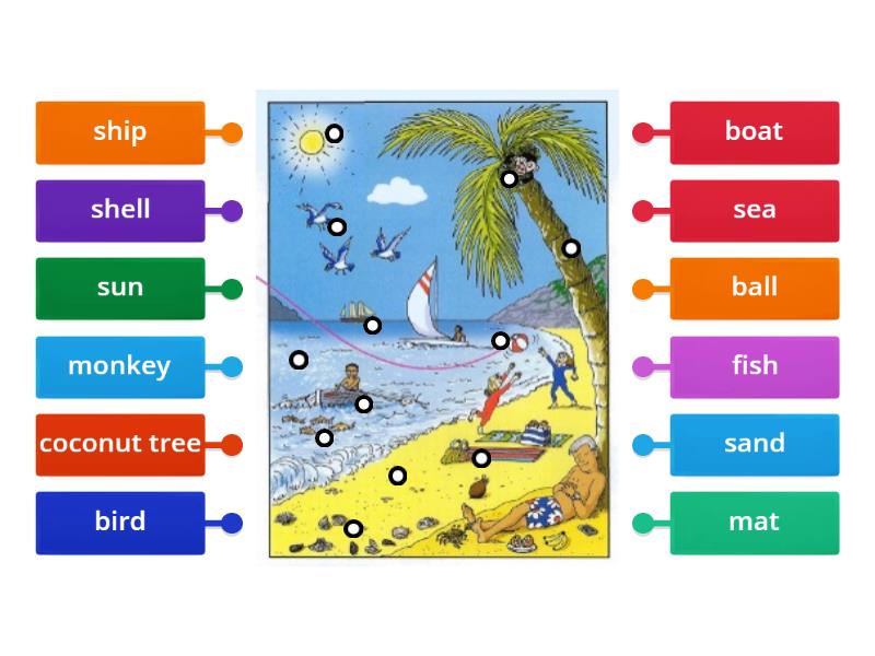 Starters U33 On the beach words - Labelled diagram