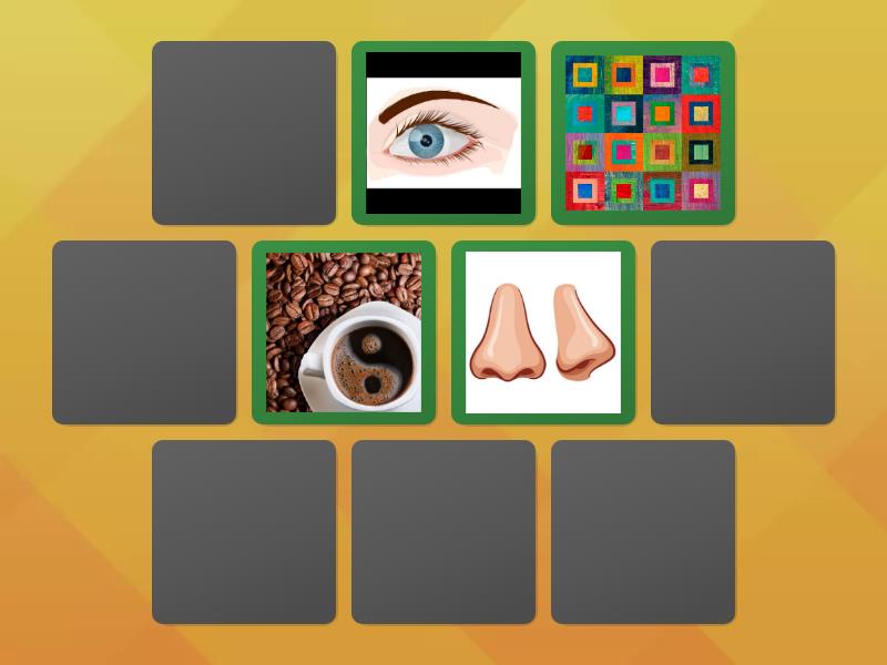 Los sentidos de mi cuerpo - Matching pairs