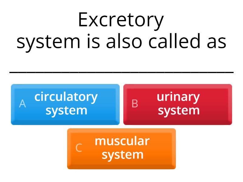 Excretory System - Quiz