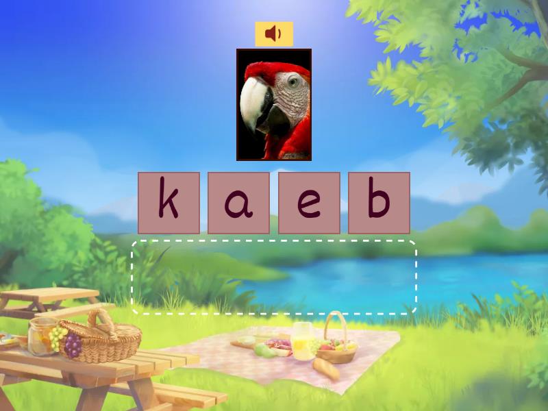 2° Chapter 8 animals´ bodies - Anagrama