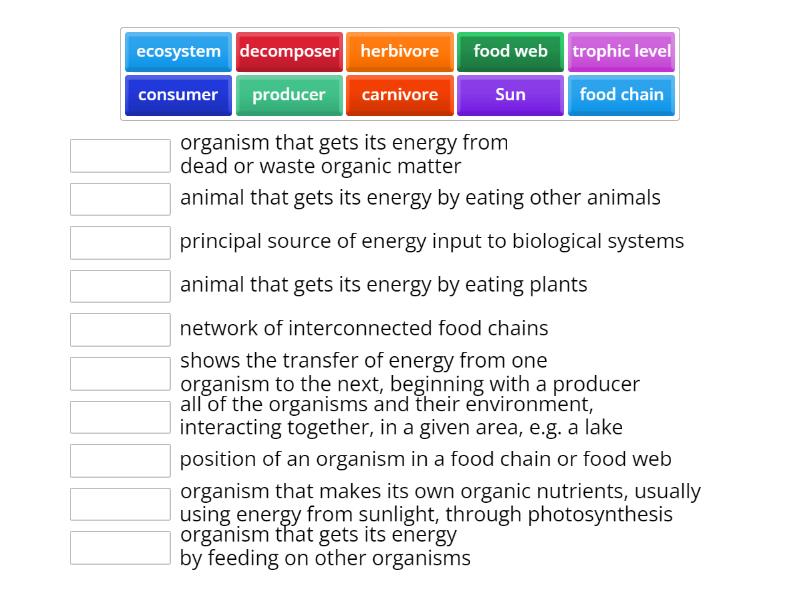 Food chains (includes supplement) Cambridge IGCSE Co-ordinated Sciences ...