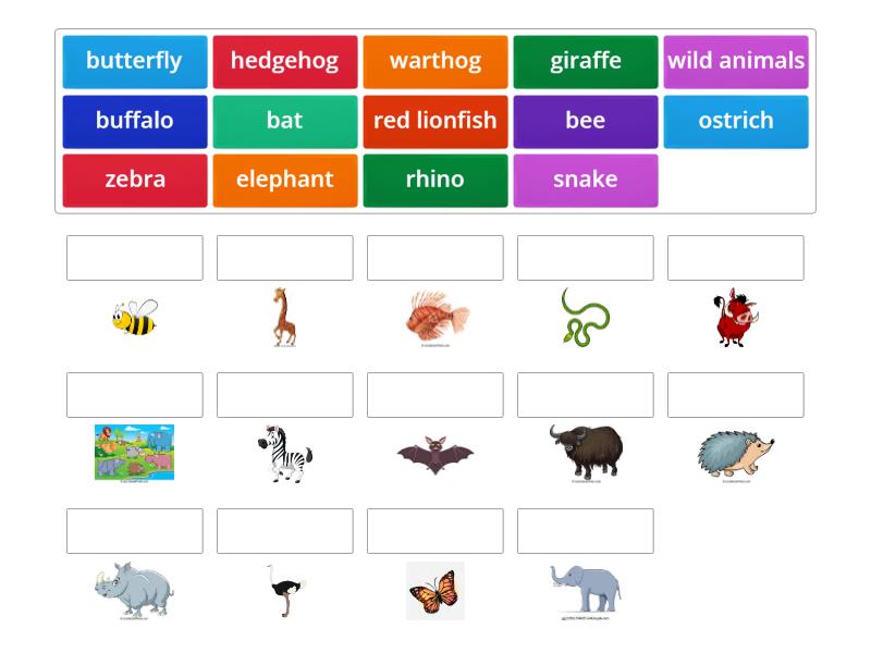 Unit 5 - animals (obrazki) - Match up