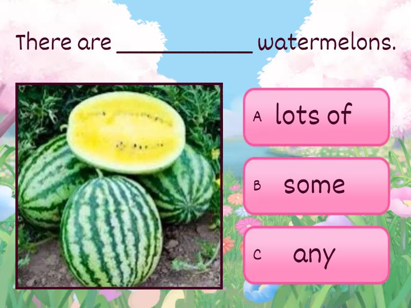 some any a lot of - Quiz