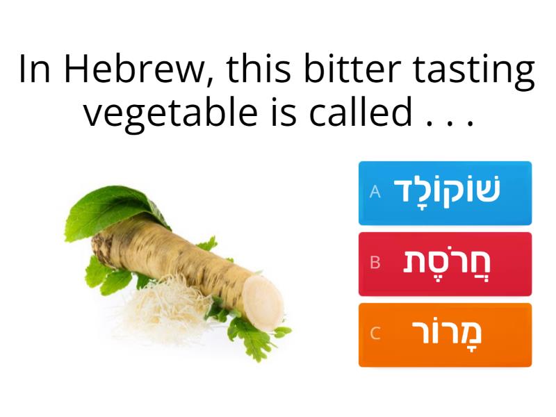 Four Questions ! - Hebrew - Quiz