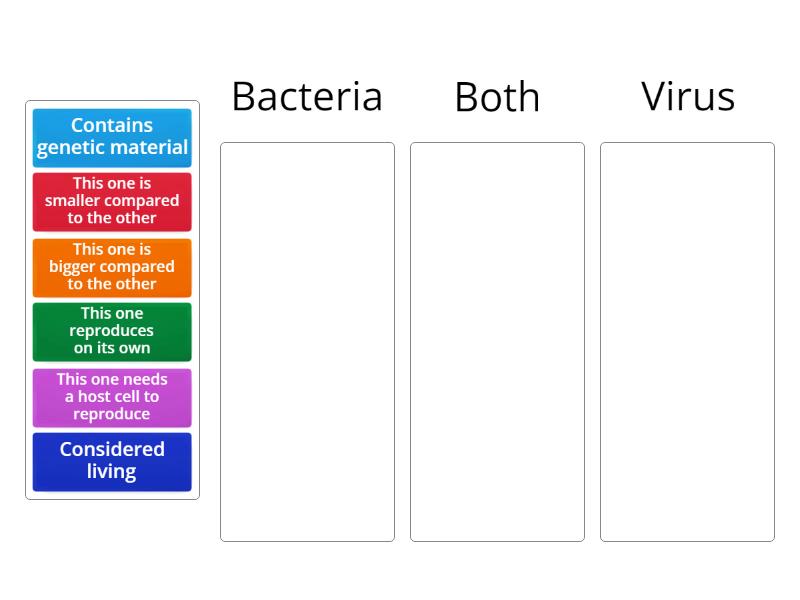 Bacteria Vs Virus - Categorize