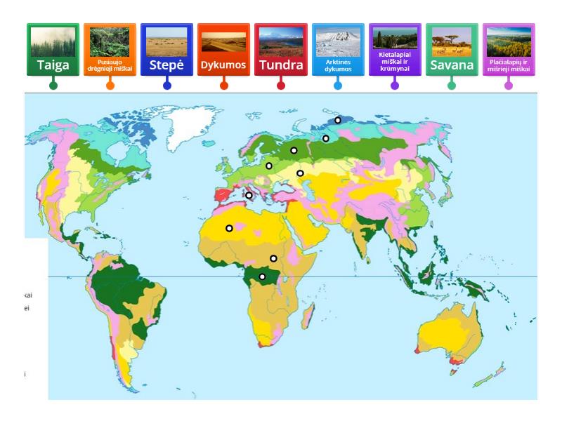 Geografinės zonos_žemėlapis - Diagrama su kortelėmis