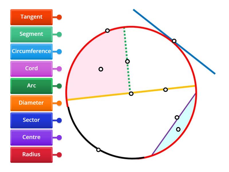 Labelling the Circle - Labelled diagram