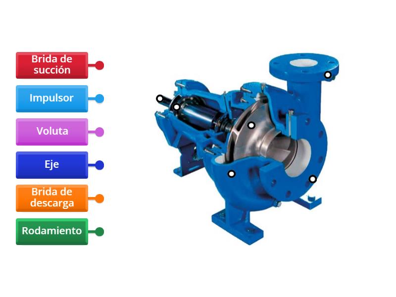 DIAGRAMA DE ETIQUETAS - Partes de bomba - Labelled diagram