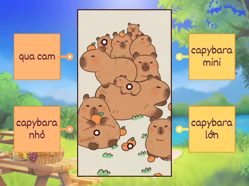 nối capybara - Labelled diagram
