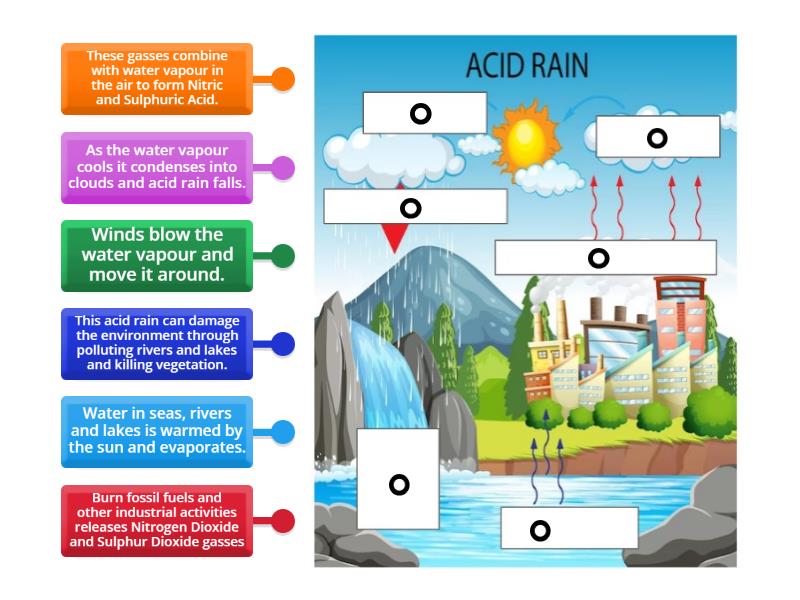 Acid Rain - Labelled diagram