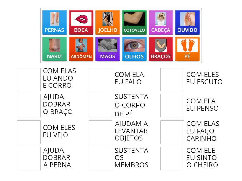 A1.14 PARTES DO CORPO HUMANO - Match up